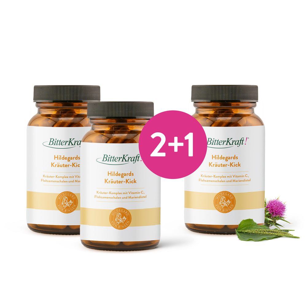 Hildegards Kräuter Kick (BIO) - Verdauungs-Komplex